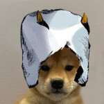 Best Matching Meme PFPs Ultimate List