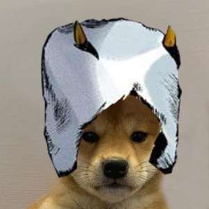 Best Matching Meme PFPs Ultimate List