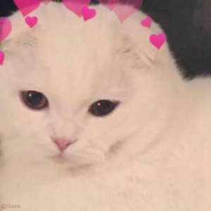 150+ NEW Matching PFPs for Couples & Friends (Ultimate List)