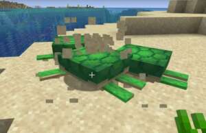 How To Breed Turtles In Minecraft (Explained) - GamingINI