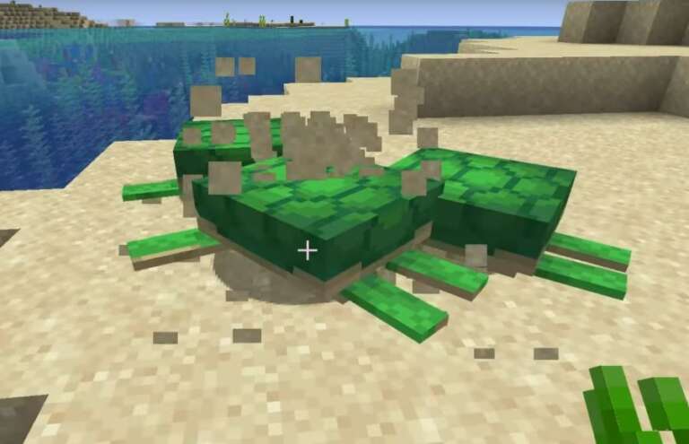 How To Breed Turtles In Minecraft (Explained) - GamingINI