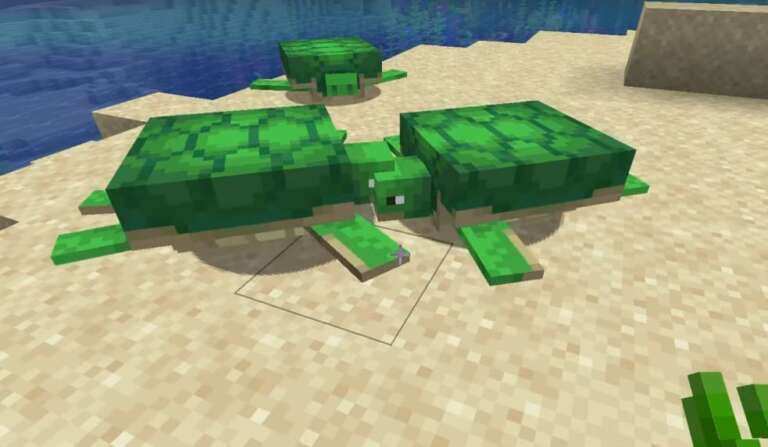 How To Breed Turtles In Minecraft (Explained) - GamingINI