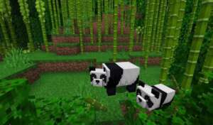 How to Breed Pandas in Minecraft (Complete Guide) - GamingINI